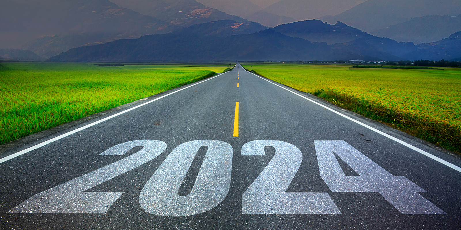 Final data on road accidents in Poland in 2024 – Polish Road Safety ...